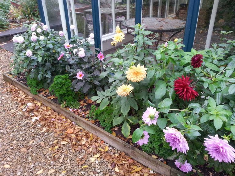 Renovating a Victorian Walled Kitchen Garden | Edwards Garden Services