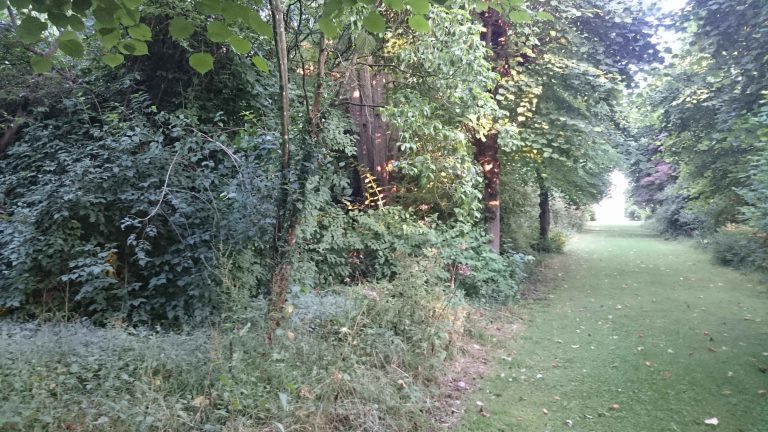 Maintaining a Victorian Shrubbery | Edwards Garden Services