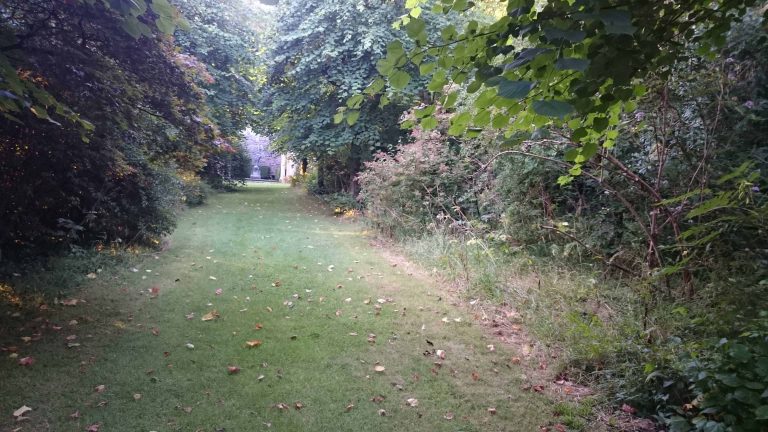 Maintaining a Victorian Shrubbery | Edwards Garden Services