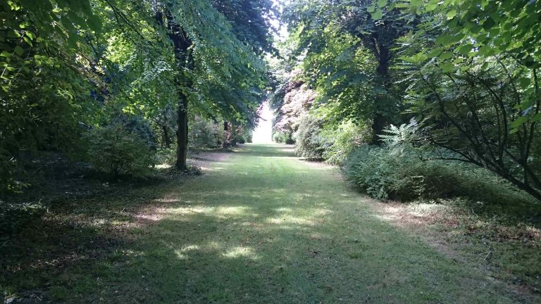 Maintaining a Victorian Shrubbery | Edwards Garden Services