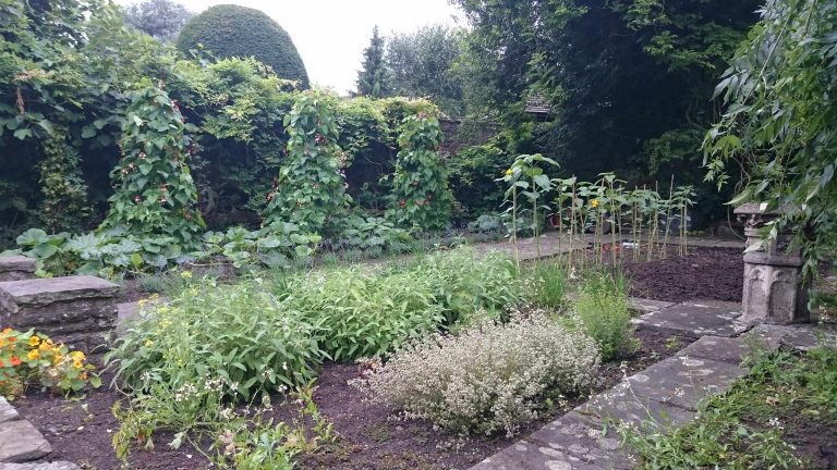 Renovating a Victorian Walled Kitchen Garden | Edwards Garden Services