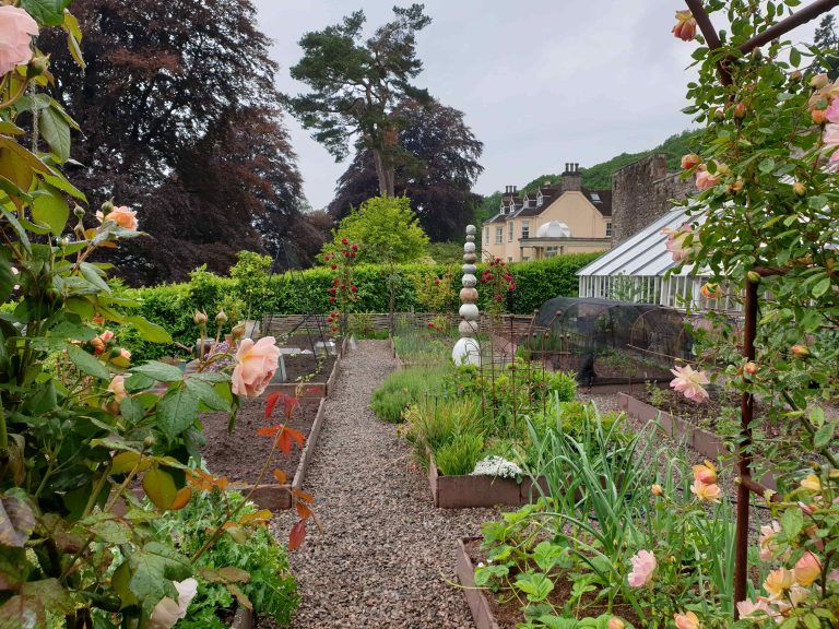 Renovating a Victorian Walled Kitchen Garden | Edwards Garden Services